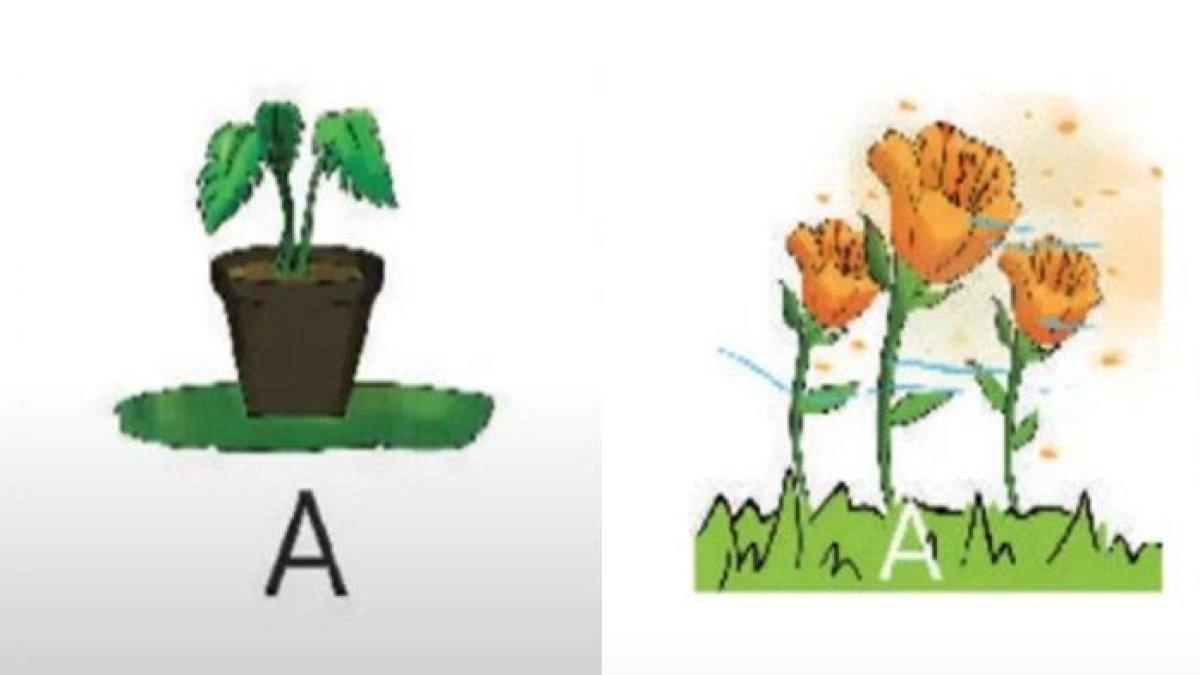 Soal & Kunci Jawaban IPAS Kelas 4 SD Halaman 31 - 32 : Mengamati Gambar ...