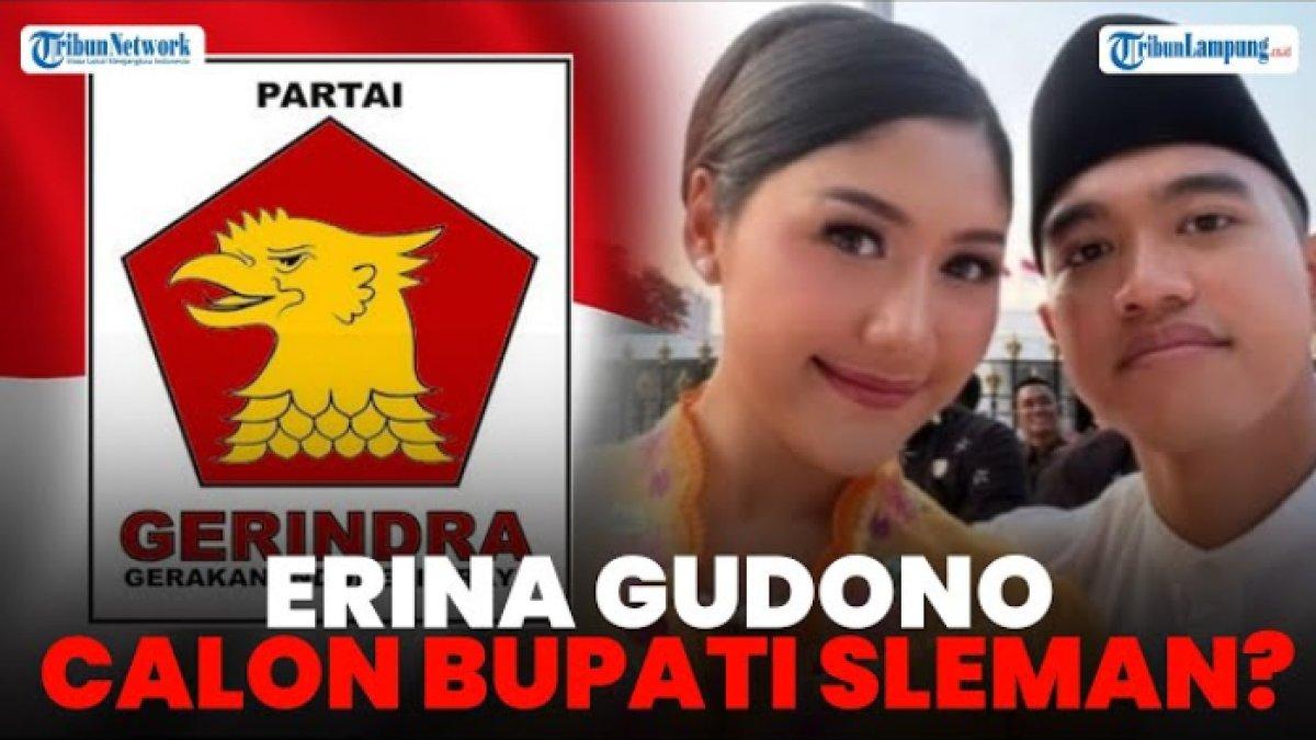 Gerindra Sleman Berencana Bertemu Erina, Sinyal Ajakan Gabung Menguat, Ternyata Ini Tujuannya ...