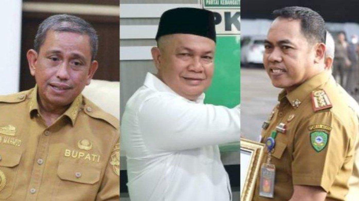 Survei Terbaru Elektabilitas Calon Bupati Wajo, Amran Mahmud Ungguli ...