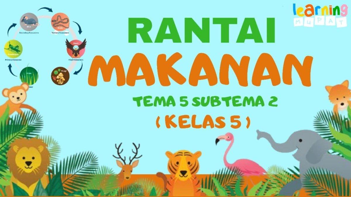 Apa itu Rantai Makanan? Penjelasan Komponen dan Contohnya, Materi IPA ... Apa itu Rantai Makanan? Penjelasan Komponen dan Contohnya, Materi IPA ...