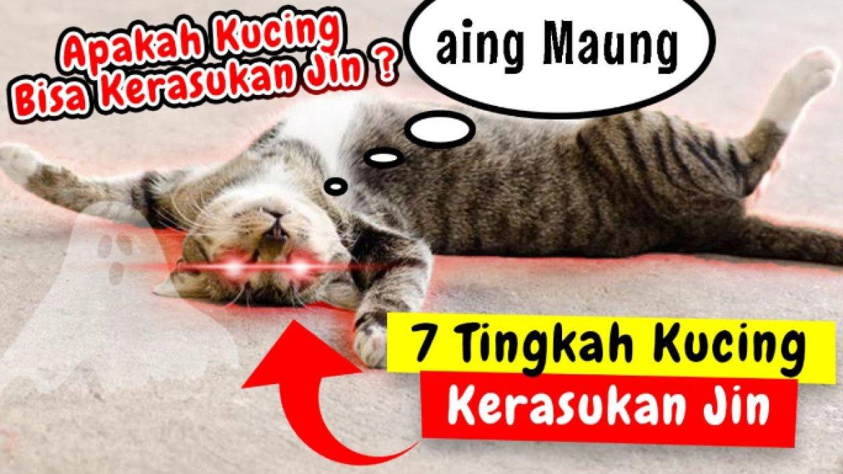 Kucing Piaraan Tiba-tiba Menggeliat bak Ular, Pemilik Syok saat ...