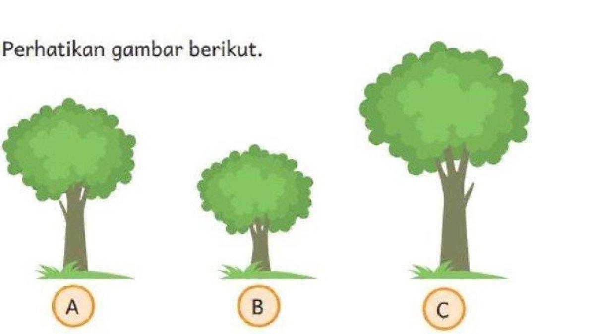 Bagaimana Cara Menentukan Ukuran Benda? Kunci Jawaban Mapel Matematika ...
