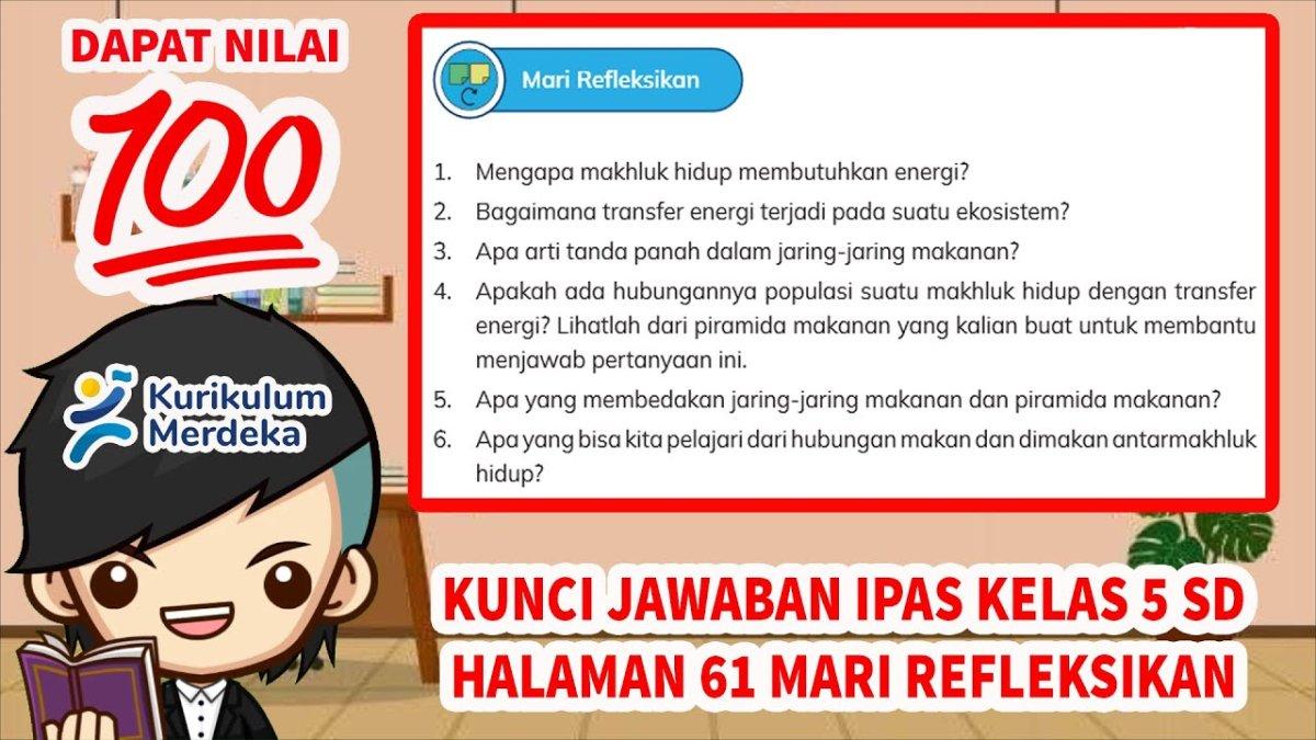 Kunci Jawaban IPAS Kelas 5 Hal 61: Bagaimana Proses Transfer Energi ...