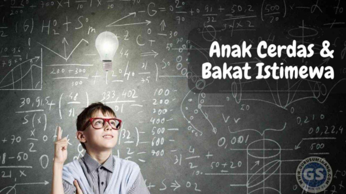 Apa Maksud Anak Cerdas Istimewa Berbakat Istimewa dalam Konteks ...