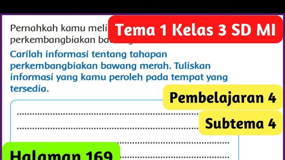 Kenapa Bawang Merah Disebut Umbi Lapis? Kunci Jawaban Tema 1 Kelas 3 SD Halaman 167-169 ...