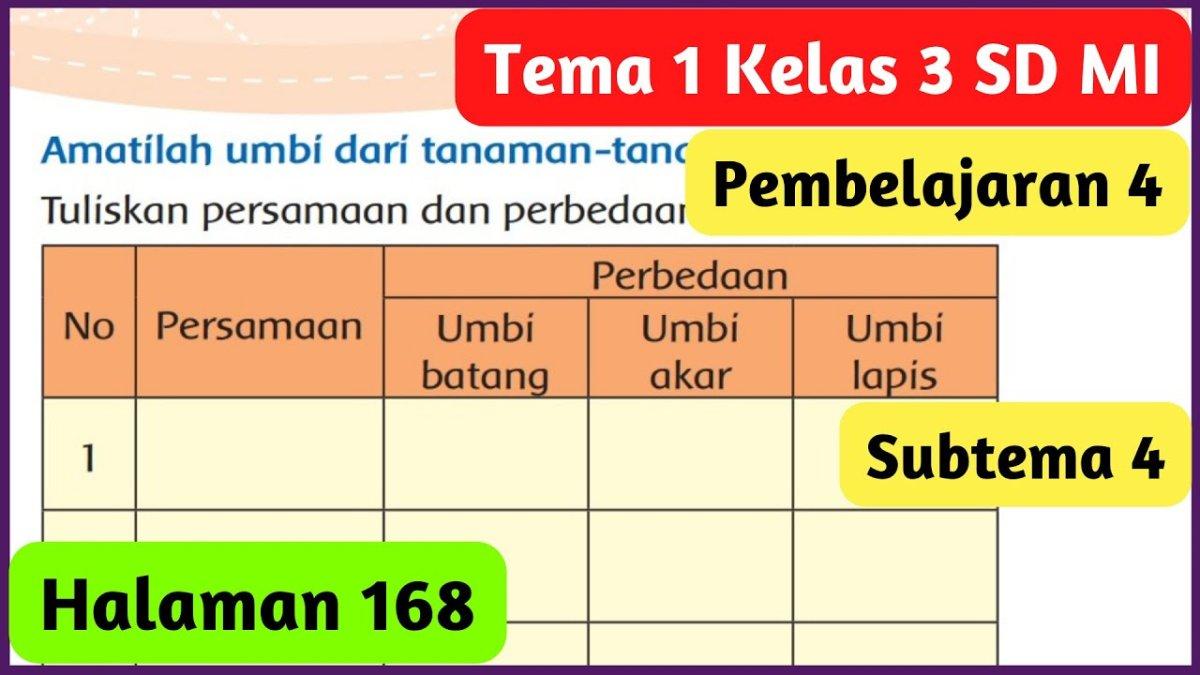 Kunci Jawaban Tema 1 Kelas 3 SD Halaman 168: Bagaimana Persamaaan dan ...