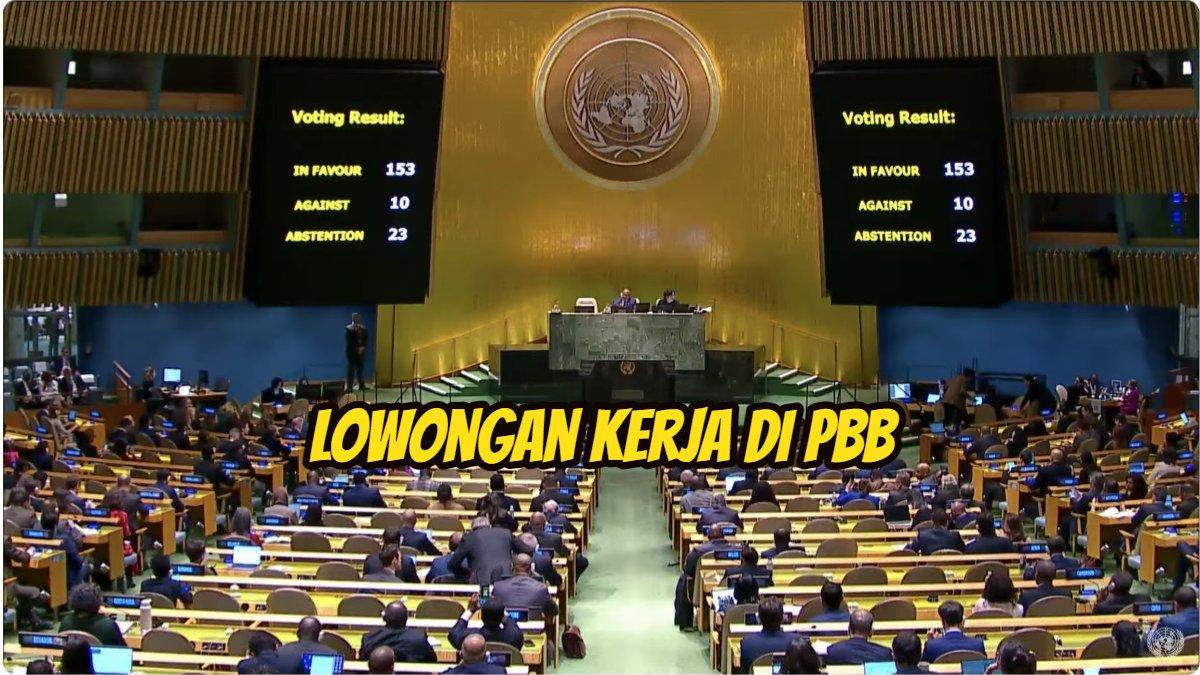 Kesempatan Langka, PBB Buka Lowongan Kerja 2024, Lulusan S1 Usia 32 Tahun Boleh Ikut Mendaftar ...