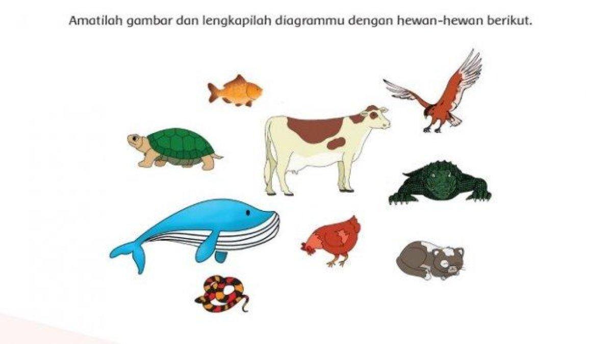 Kunci Jawaban Tema 1 Kelas 6 SD Halaman 62-65: Bagaimana Cara Hewan ...