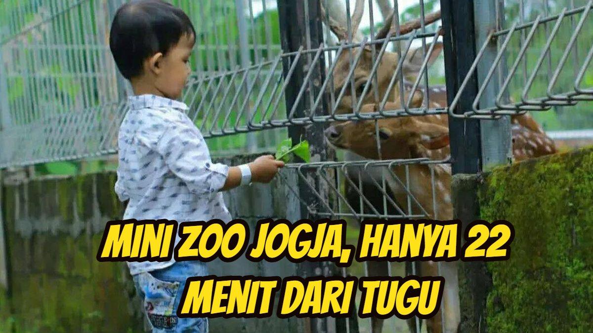 Hanya 22 Menit dari Tugu, Ada Mini Zoo Lucu & Bisa Bermain Hewan, Cocok ...