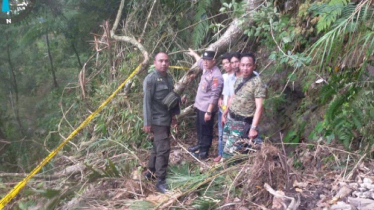 TRAGIS! Pria di Karanganyar Tewas Tertimpa Pohon saat Cari Kayu ... TRAGIS! Pria di Karanganyar Tewas Tertimpa Pohon saat Cari Kayu ...