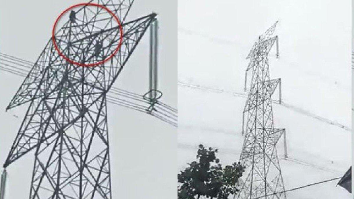 Bertengkar Dengan Pacar Gadis Nekat Panjat Menara Sutet Setinggi 24 Meter Kekasihnya Ikut Naik 