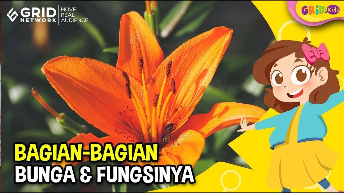 Materi Pembelajaran SD Kelas 4: Penjelasan Bunga Sempurna beserta ...