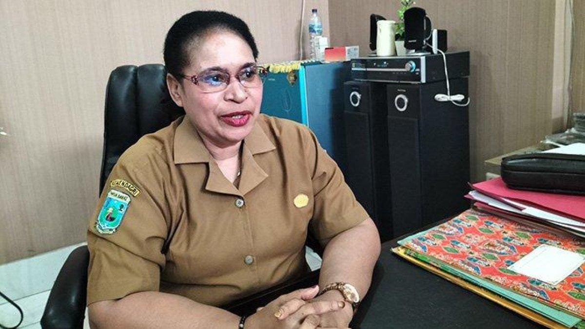 Profil dan Harta Kekayaan Petronela Krenak, Satu-satunya Bupati Wanita di Papua Barat Daya ...