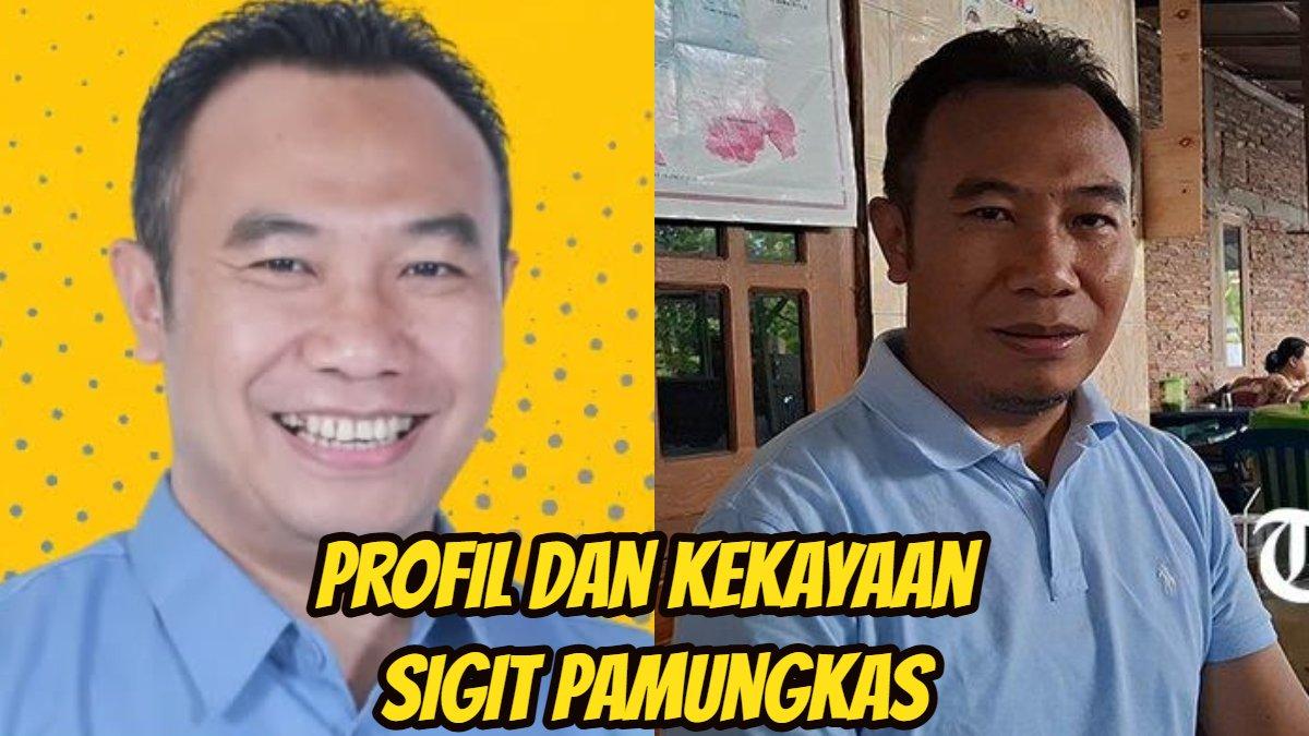 Profil dan Kekayaan Sigit Pamungkas Pemenang Pilkada Sragen 2024, Eks ...