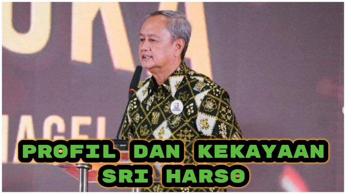 Profil dan Kekayaan Sri Harso Wakil Wali Kota Terpilih Pilkada Magelang 2024, Direktur RSUD ...