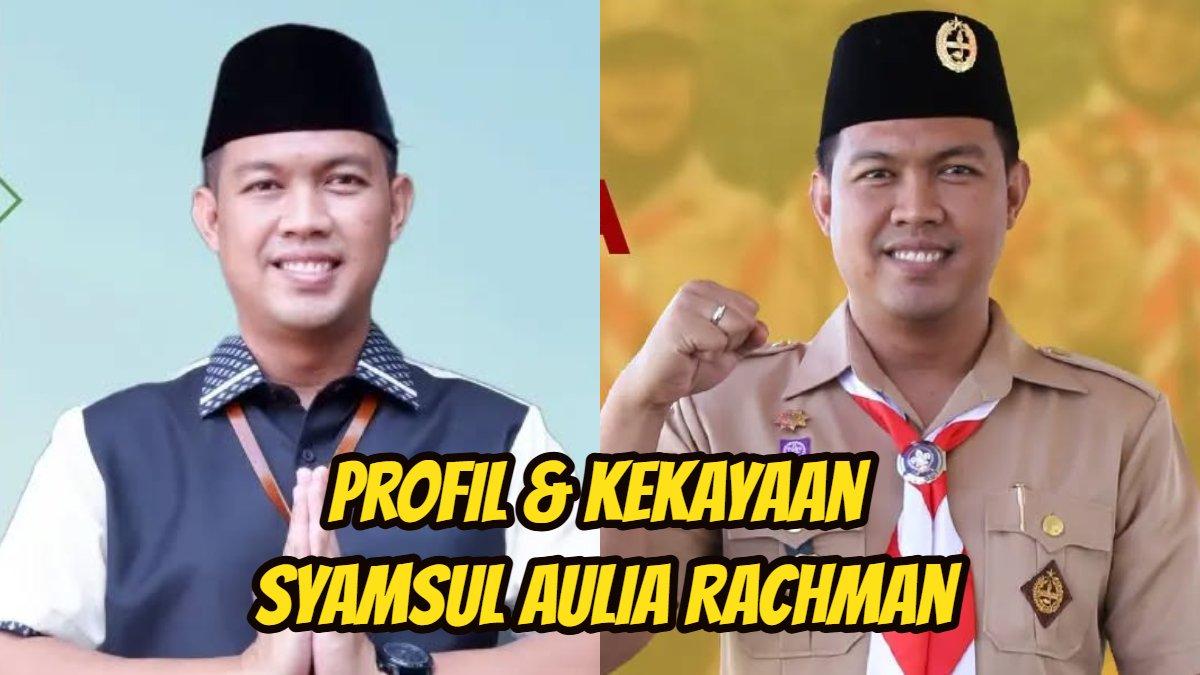 Profil dan Kekayaan Syamsul Auliya Rachman Bupati Terpilih Pilkada ...