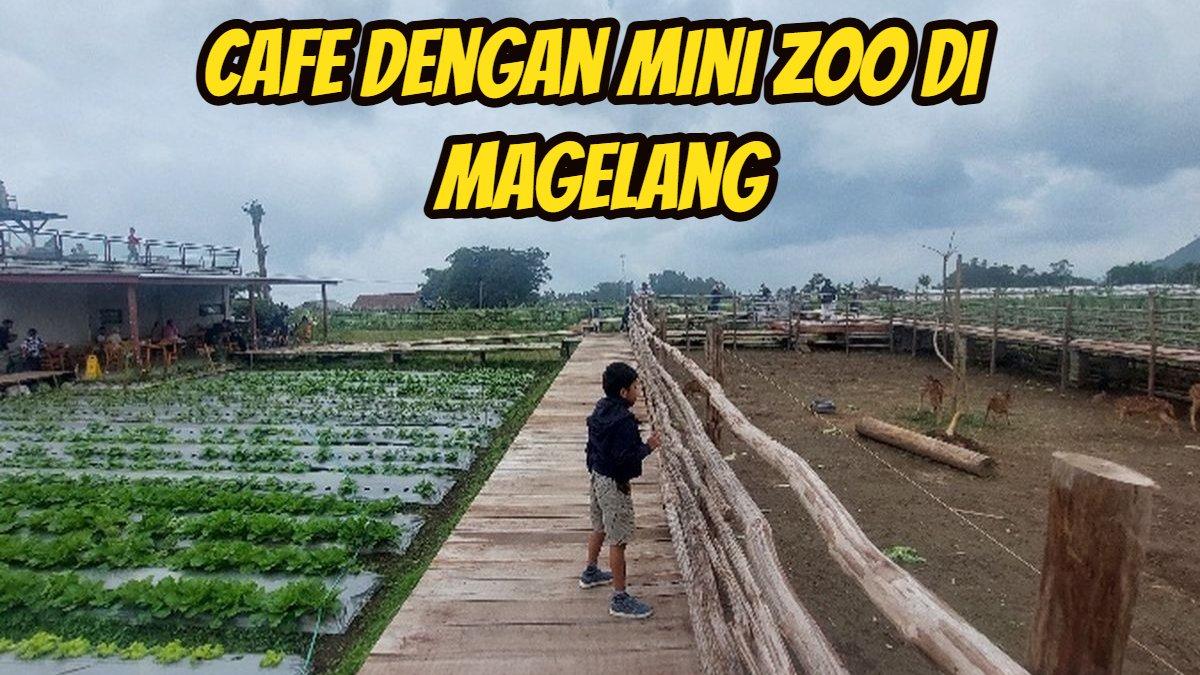 52 KM dari Pusat Kota Magelang, Ada Cafe Asri Lengkap dengan Mini Zoo ...