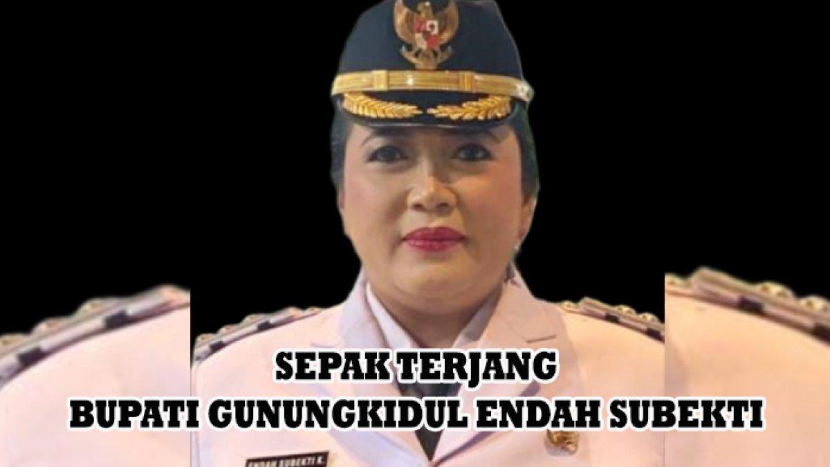 Sepak Terjang Bupati Gunungkidul Endah Subekti, Pengusaha yang Aktif Berorganisasi ...