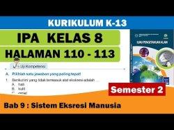 Kunci Jawaban IPA Kelas 8 Semester 2 Halaman 110-113: Kulit berfungsi sebagai alat ekskresi ...