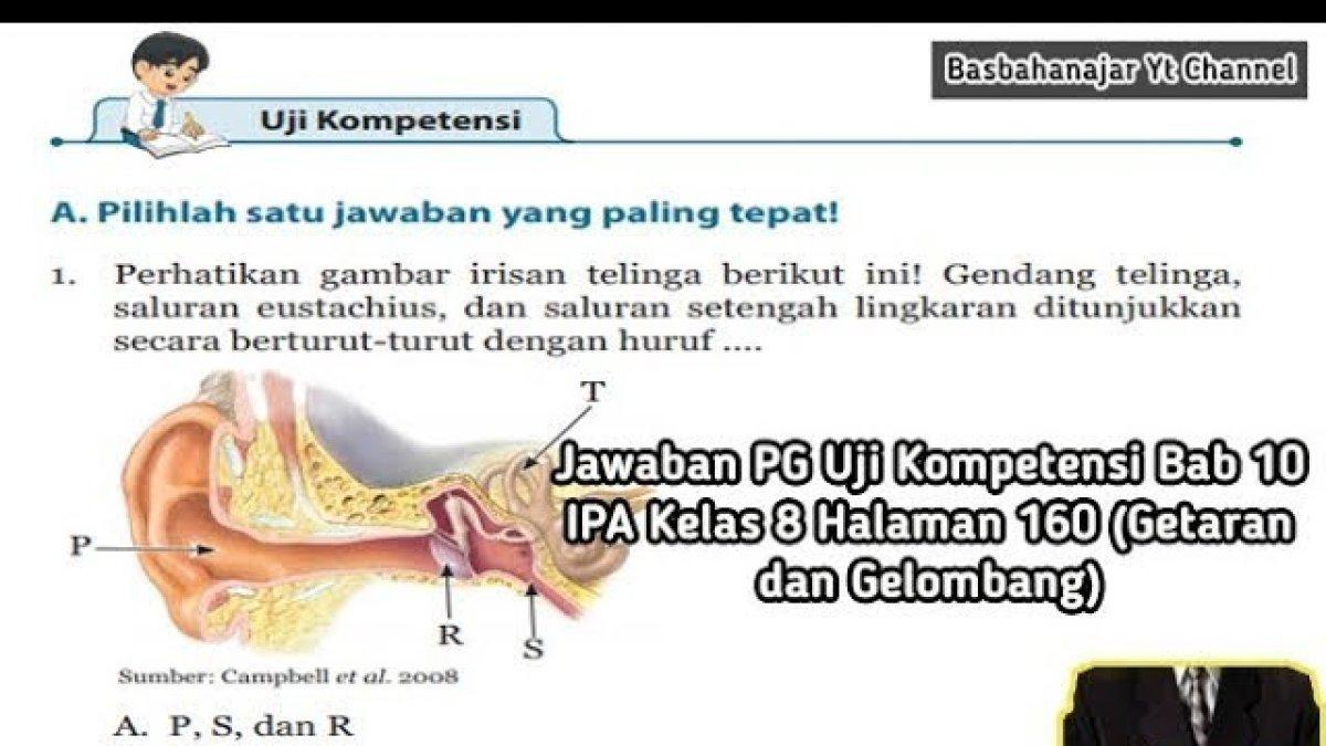 Berita Apa Perbedaan antara Gema dan Gaung Terbaru Hari Ini ...