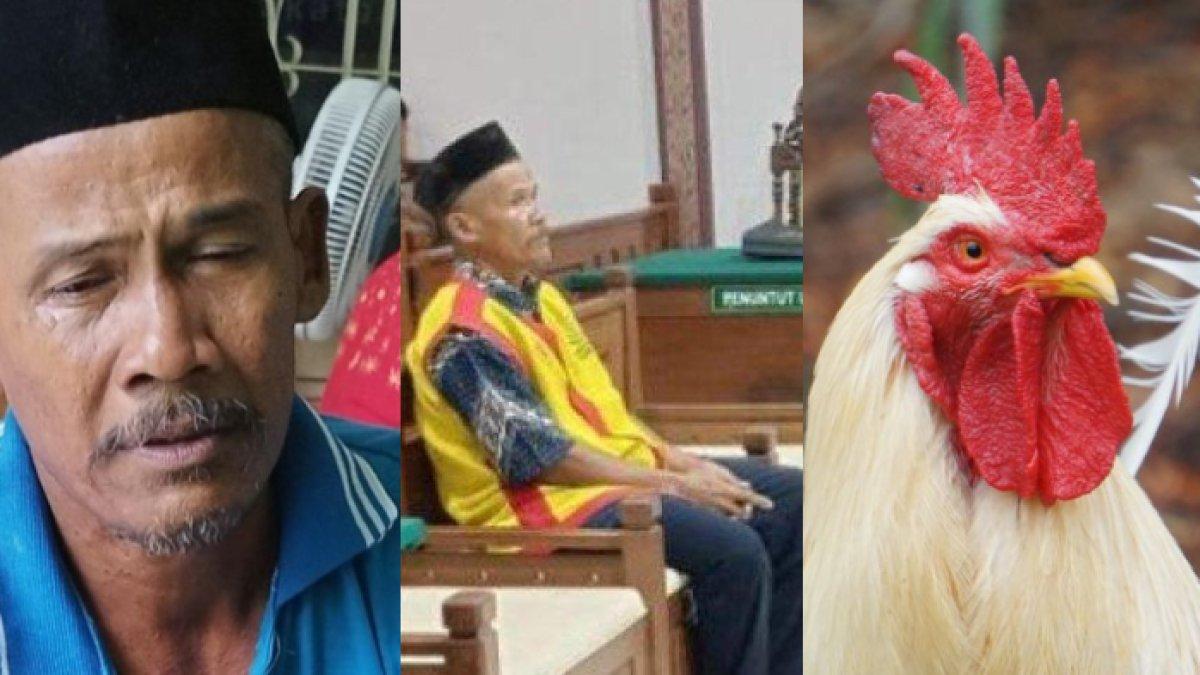 Sosok Suyatno, Terdakwa Pencurian Ayam 'Jimat' Milik Kades, Untung Rp ...