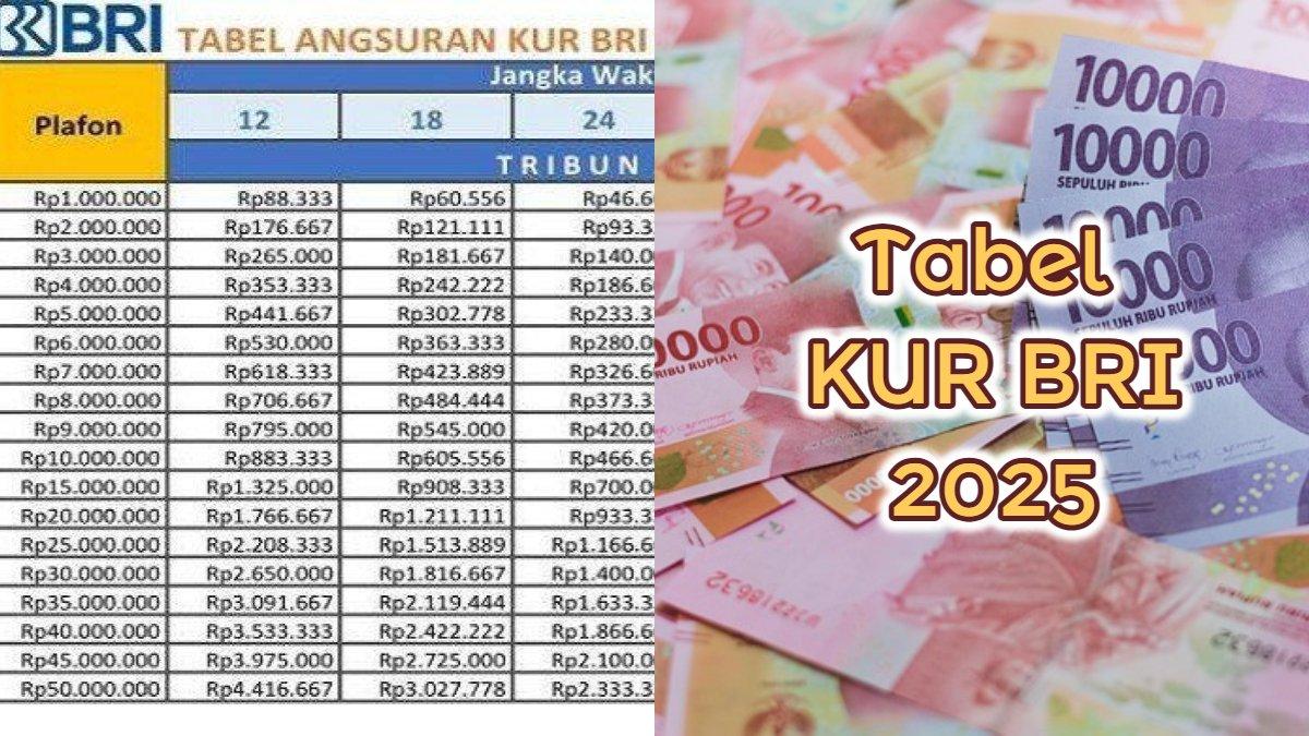 Tabel KUR BRI 2025, Cek Cicilan di Bawah Rp50 Juta, Ini Cara Ajukan Pinjaman & Persiapan Dokumen ...