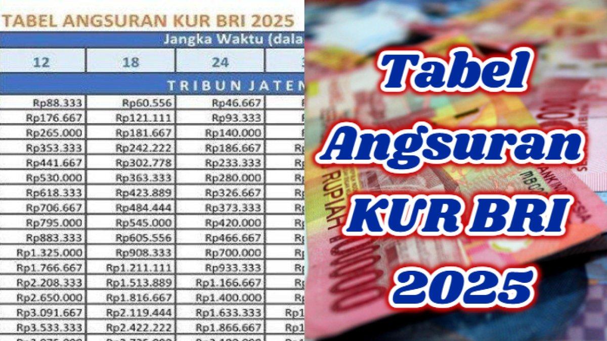 Tabel Angsuran KUR BRI 2025, Cek Cicilan Pinjaman Rp 25 Juta, Dapatkan ...