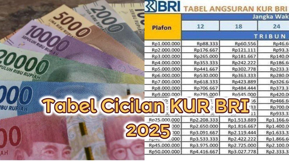 Tabel Angsuran KUR BRI 2025, Cek Cicilan Pinjam Rp70 Juta, Ini Cara Ajukan Secara Langsung ...