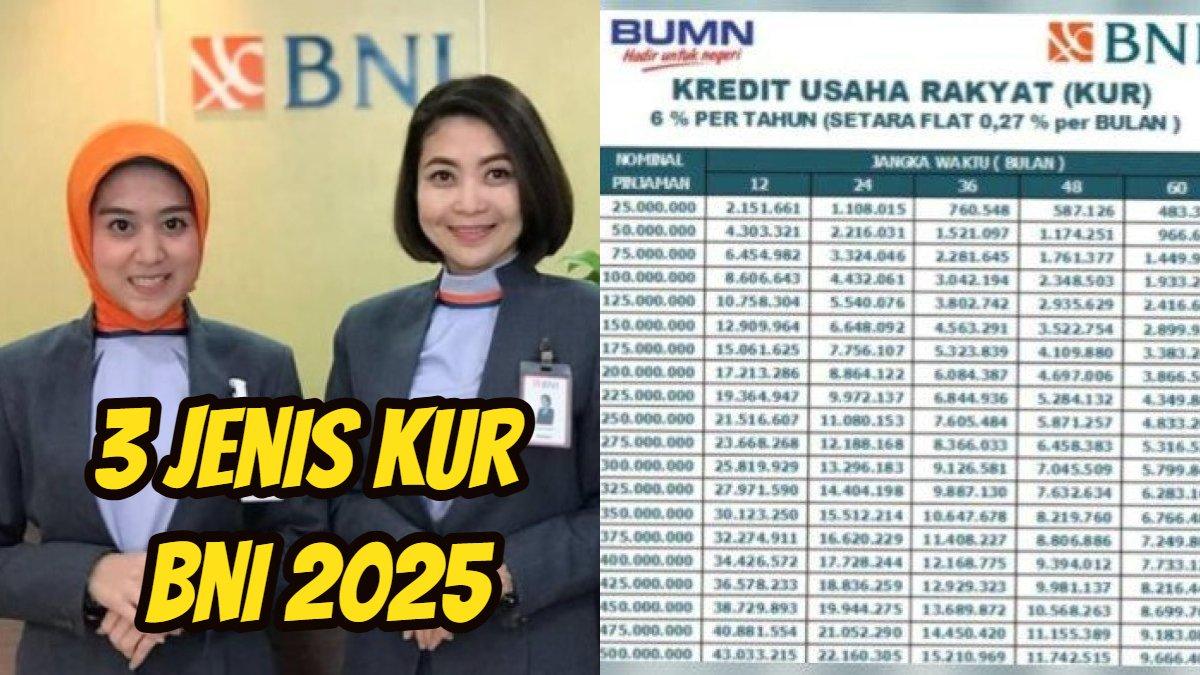 Tabel KUR BNI 2025, Cek 3 Jenis Pinjaman Kredit Usaha Rakyat dengan Bunga Rendah 6 Persen ...