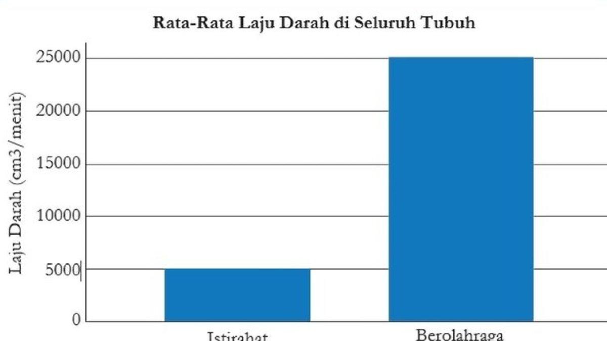Kunci Jawaban IPA Kelas 8 SMP/ MTs Halaman 60 Kurikulum Merdeka ...