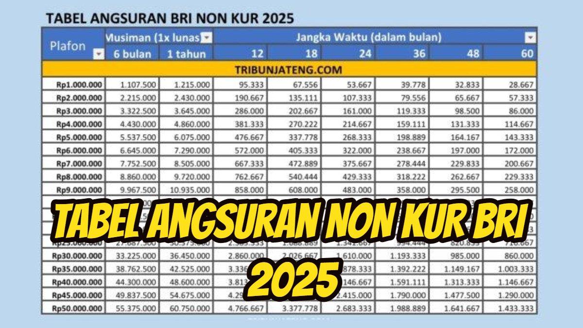 Tabel Angsuran NON KUR BRI 2025 Mulai 1 Juta Hingga 500 Juta, Simak Persyaratan & Pengajuannya ...