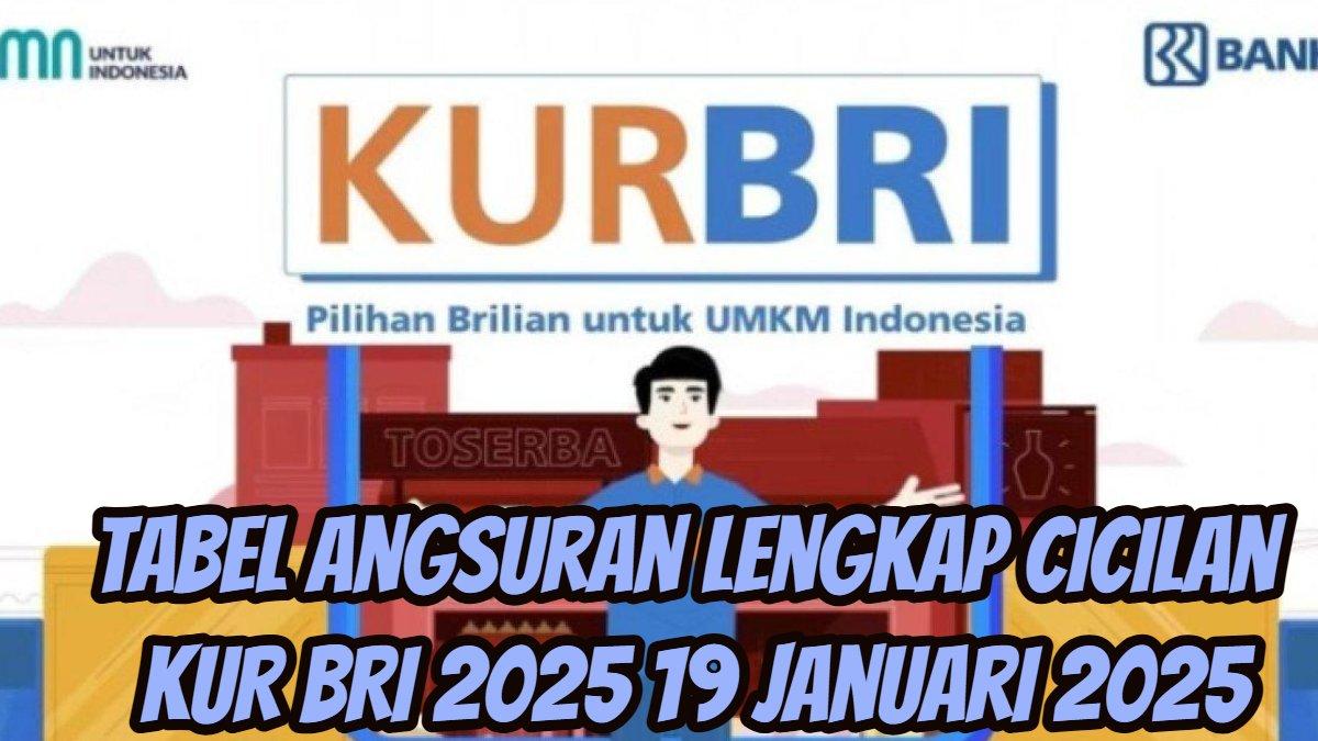 Tabel Angsuran Lengkap Cicilan KUR BRI 2025 19 Januari 2025, dari 1 ...