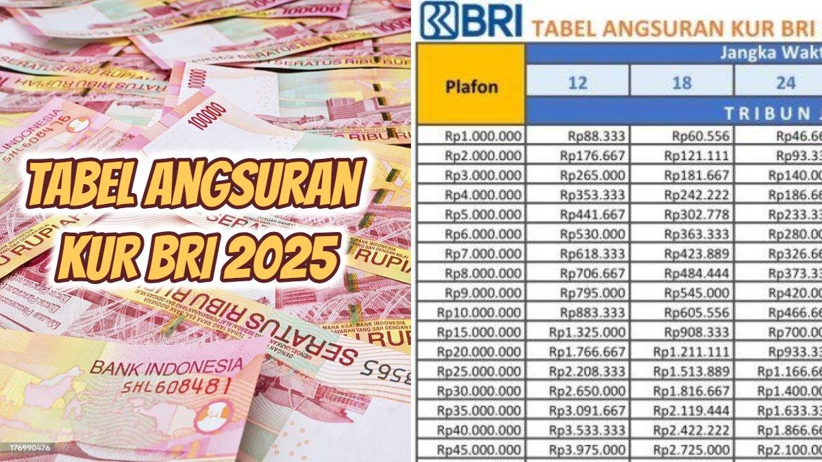 TABEL Angsuran KUR BRI 2025, Cek Cicilan Terendah & Tertinggi Pinjam Bawah Rp100 Juta, Ini ...
