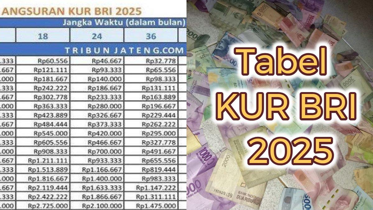 Tabel Angsuran KUR BRI 2025, Cek Cicilan Pinjam Rp1-50 Juta, Ini Syarat Debitur & Cara ...