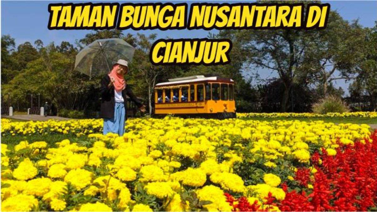 Di Cianjur Jabar Ada Taman Bunga Nusantara yang Seperti Berada di Eropa ...