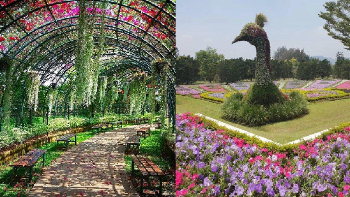 Destinasi Taman Bunga Nusantara Jabar, Pas untuk Libur Lebaran 2025 ...