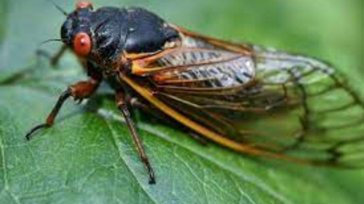 Soal & Kunci Jawaban Bahasa Indonesia Kelas 10 SMA Halaman 9 Struktur ...