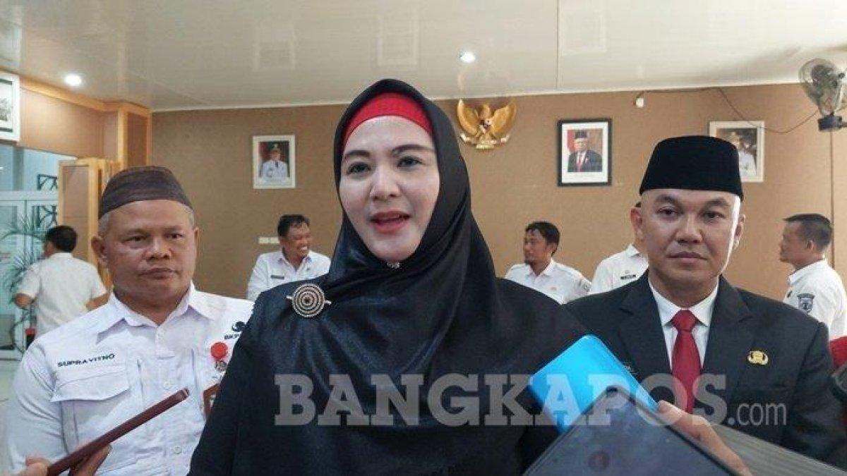 Sosok & Profil Debby Vita Dewi Wakil Bupati Bangka Selatan 2025, Wanita Pertama Jadi Wabup ...