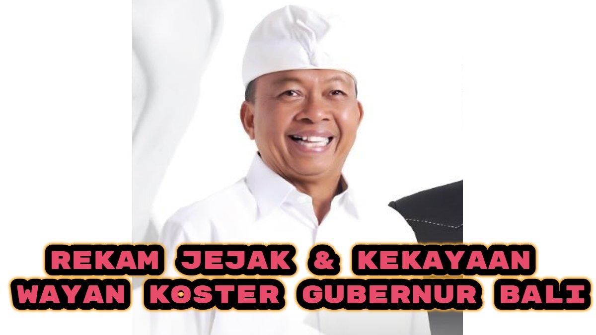 Rekam Jejak & Kekayaan Wayan Koster Gubernur Bali yang Dilantik Prabowo ...
