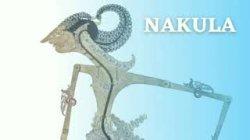 Apakah Kamu Mengenal Salah Satu Tokoh Wayang Nakula? Ini dia Sejarahnya ...