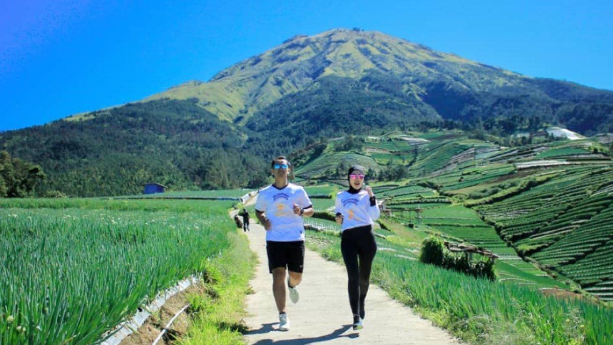 Cuma 46 Menit dari Alun-alun Magelang, Ada Wisata Sawah Seindah Ini ...