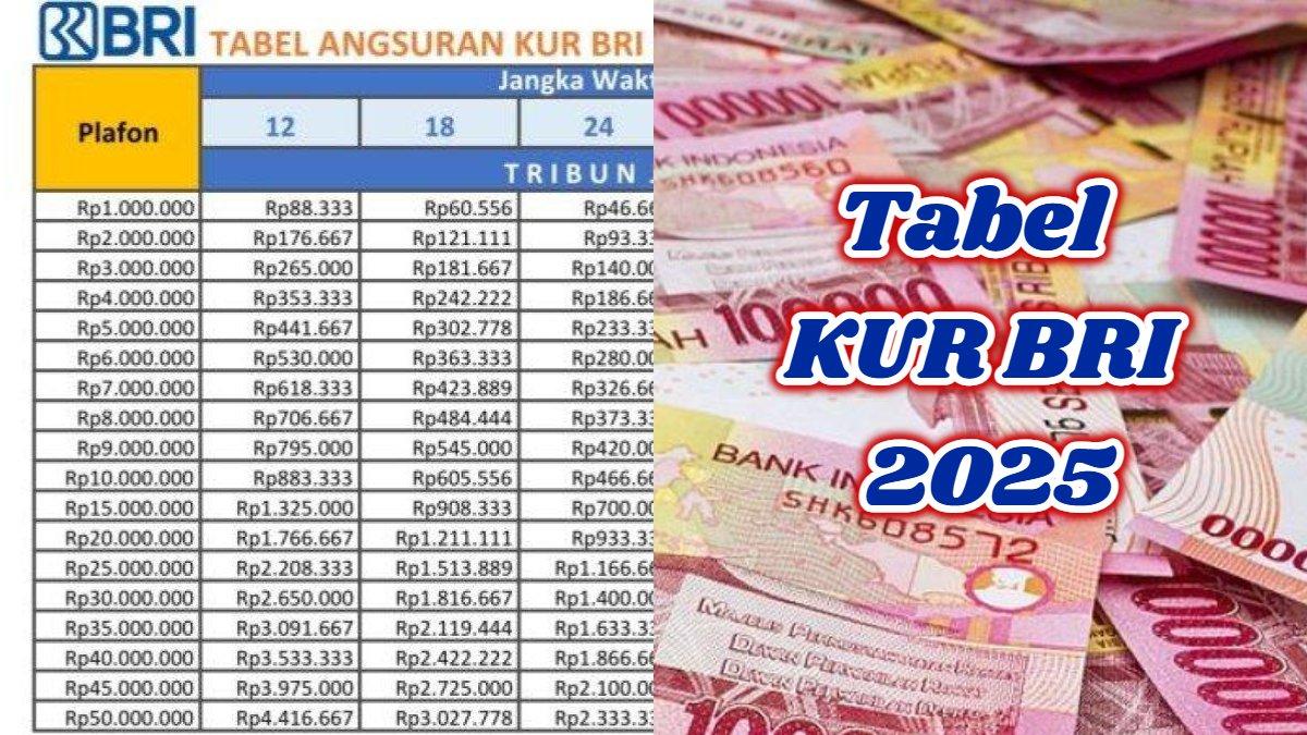Tabel KUR BRI 2025, Cek Cicilan Tertinggi & Terendah Pinjam Rp 35 Juta, Ini Beda KUR Mikro dan ...