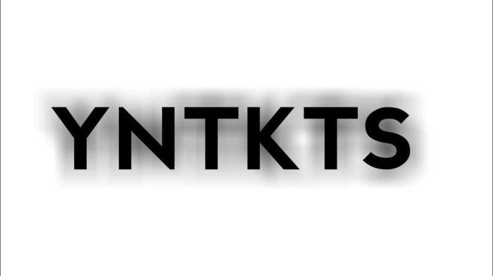 Apa Arti YNTKTS? Kata-kata Viral di TikTok hingga Twitter yang ...