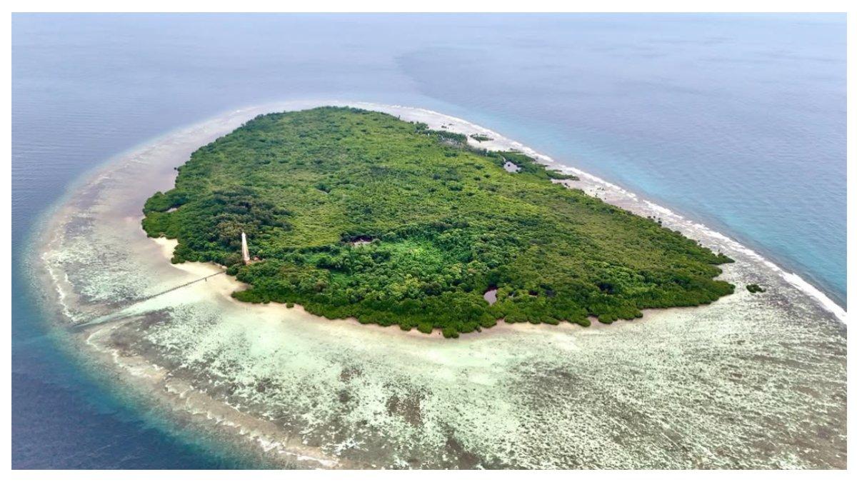Indramayu Jabar Punya Pulau Terpencil yang Indah, Habitat Asli Biawak ...