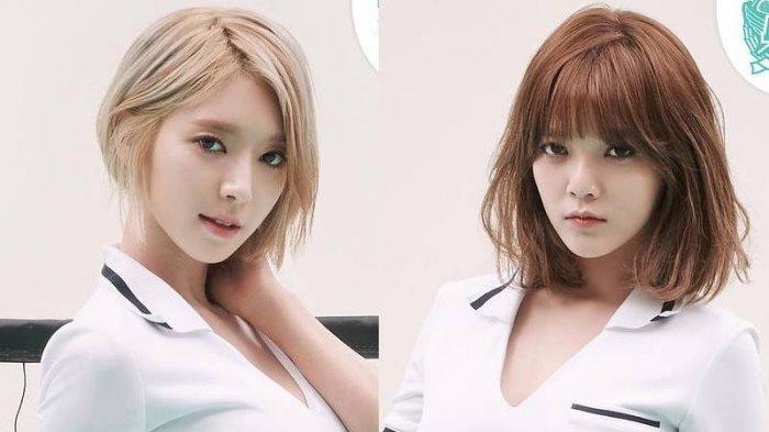Setelah Mina, Choa Diduga Pernah Di-Bully Jimin, Barang Eks Member AOA ...