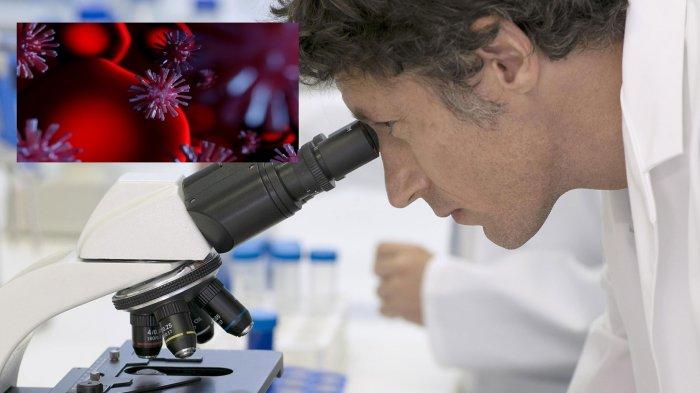 Berapa Lama Masa Inkubasi Virus Corona? Penjelasan Para Ilmuwan ...