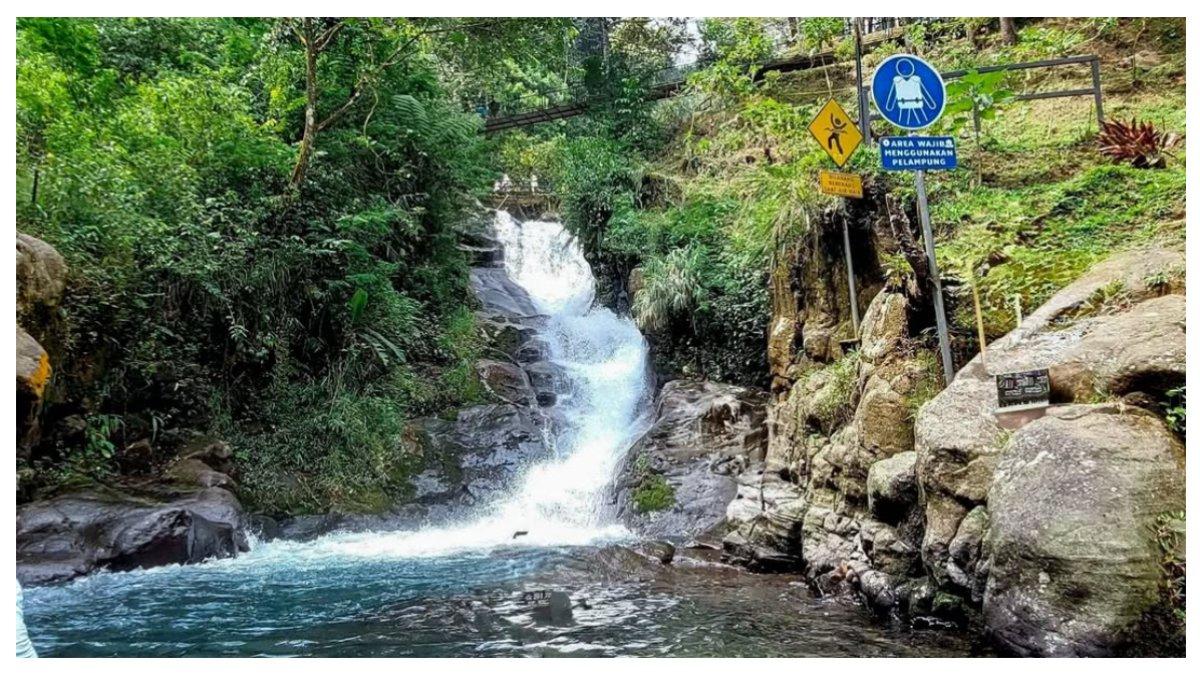 Curug dan Kolam Alami yang Jernih, Dekat Lereng Gunung di Bogor, Cuma 1 ...