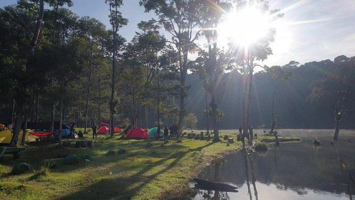 Jelajahi Alam dan Telaga Tambing yang Eksotis, Ini Tarif Baru yang ...