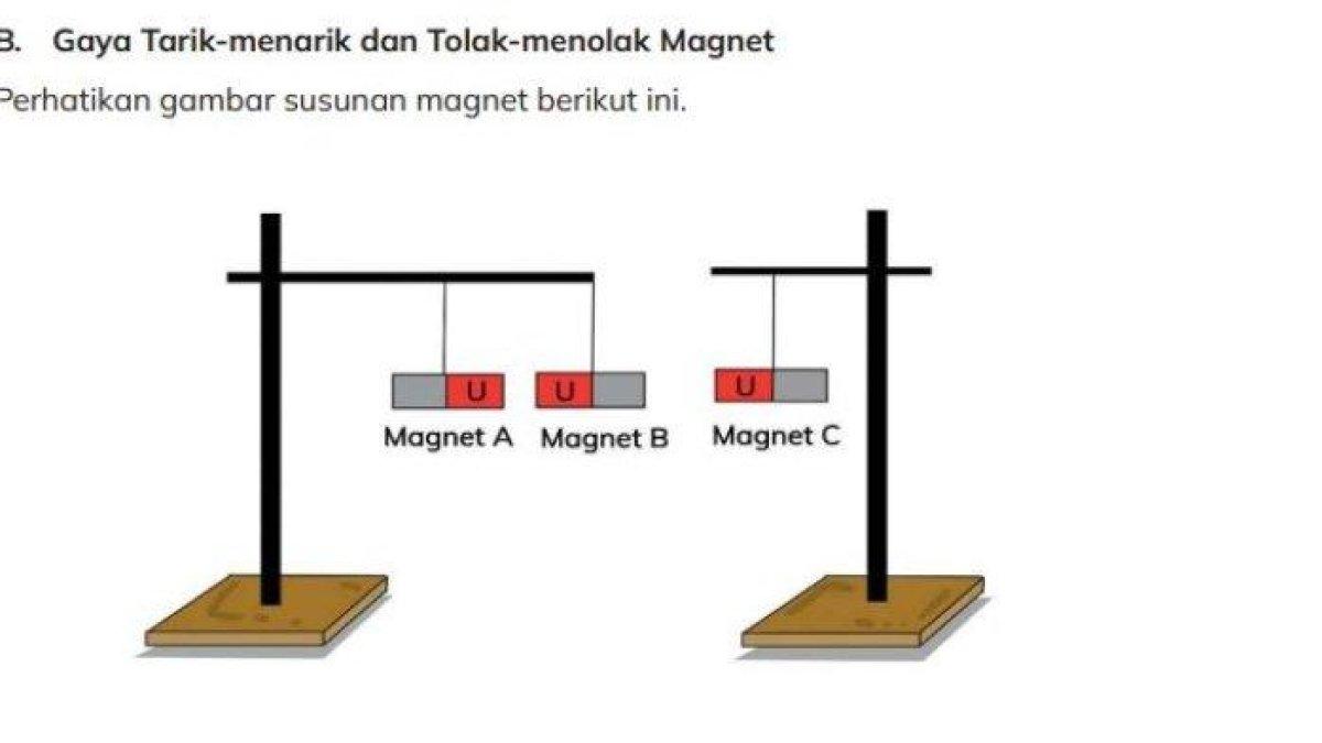 17+ Kunci Jawaban Soal IPA Kelas 6 SD/ MI Semester 1 Kurikulum Merdeka ...