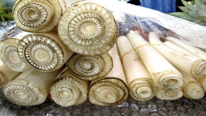 Ini 10 Manfaat Gedebog Pisang Bagi Kesehatan yang Dijual Mahal di ...